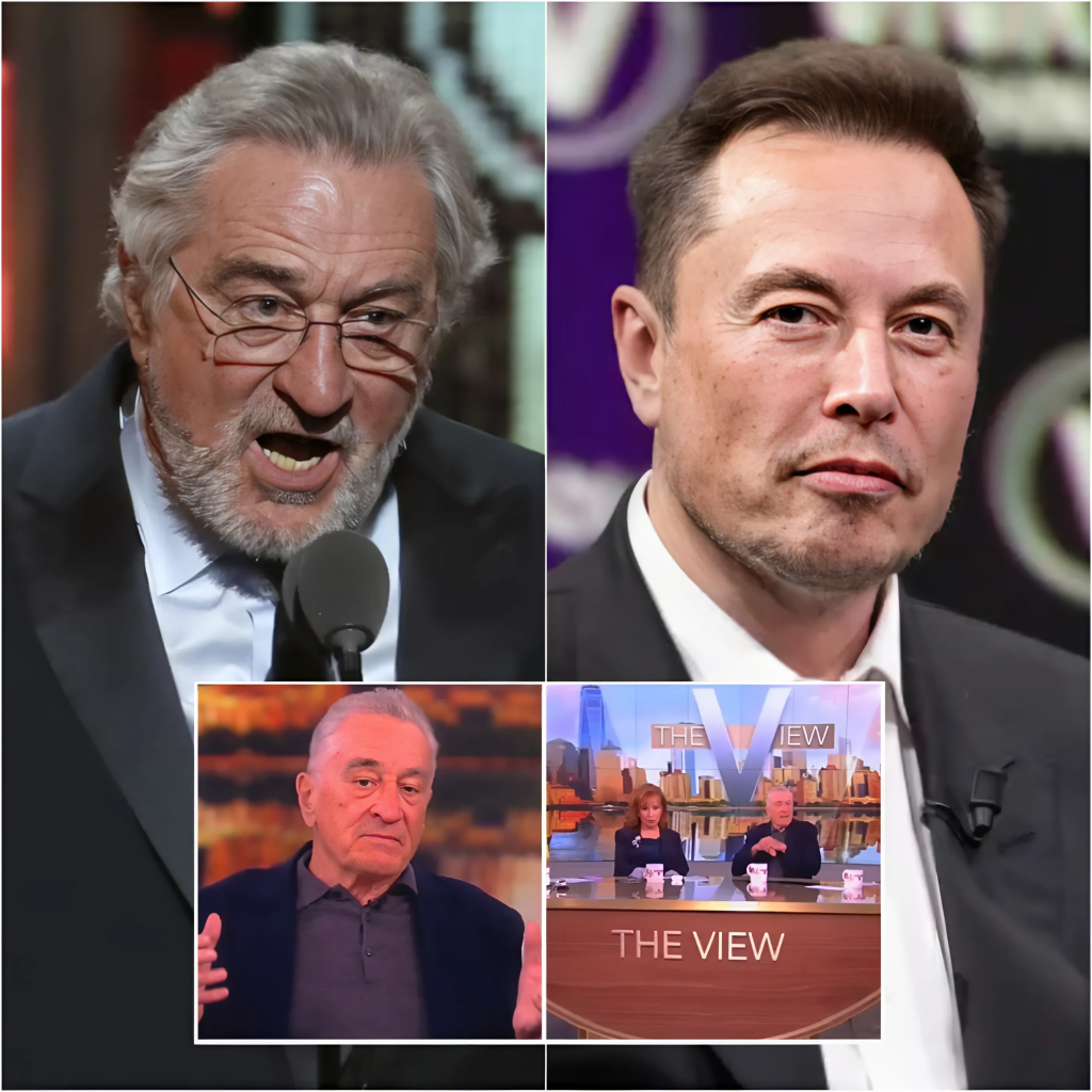 Robert De Niro defiende a Joy Behar y expone a Elon Musk en The View ...