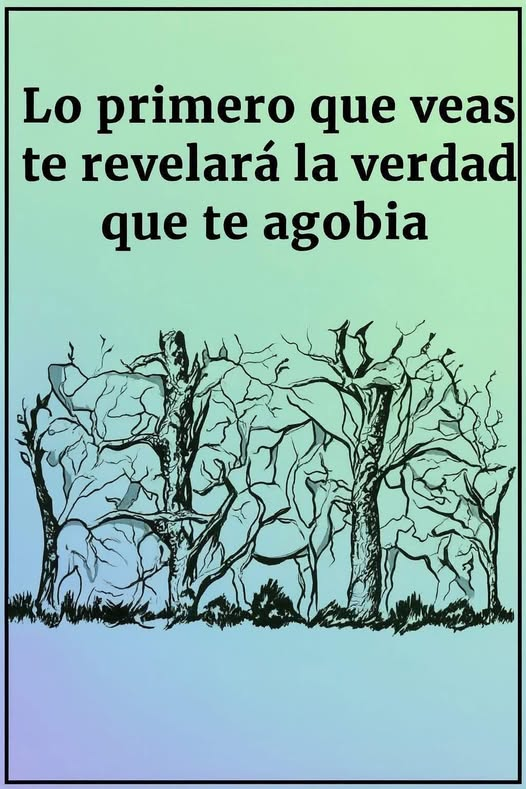Lo Primero Que Veas Revelará la Verdad Que Te Agobia (Test Visual ...